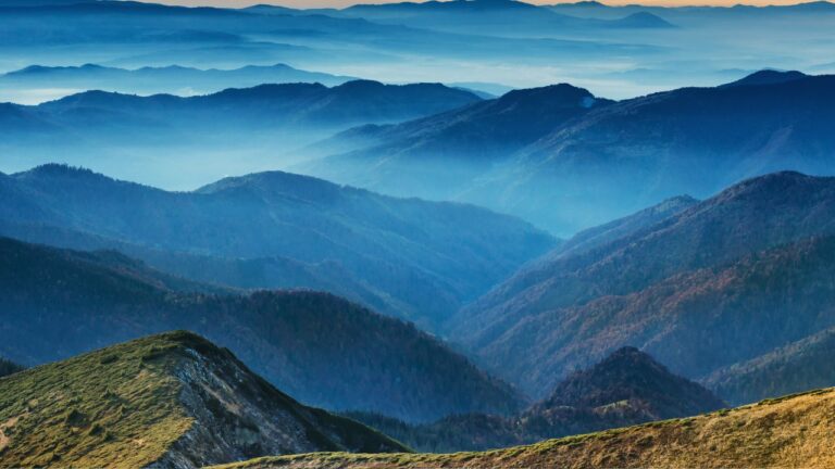 18 Most Polite States in America - Mindfully American