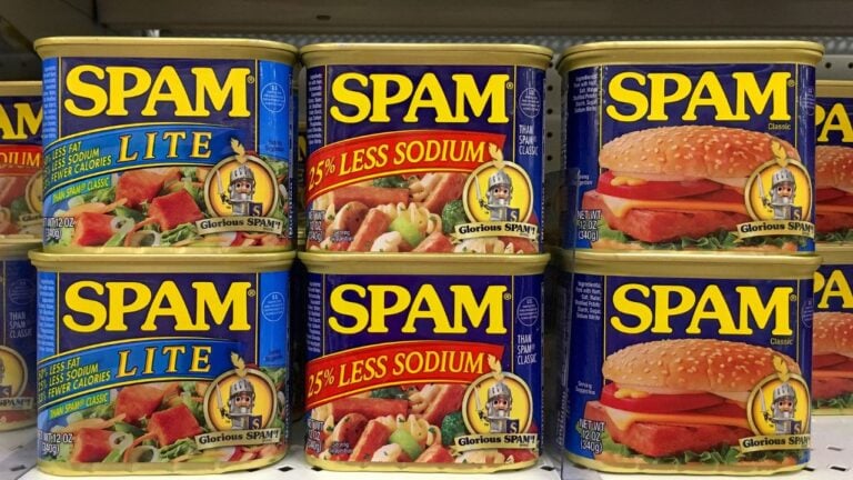 24 Facts About Spam Most Americans Don't Know - Mindfully American