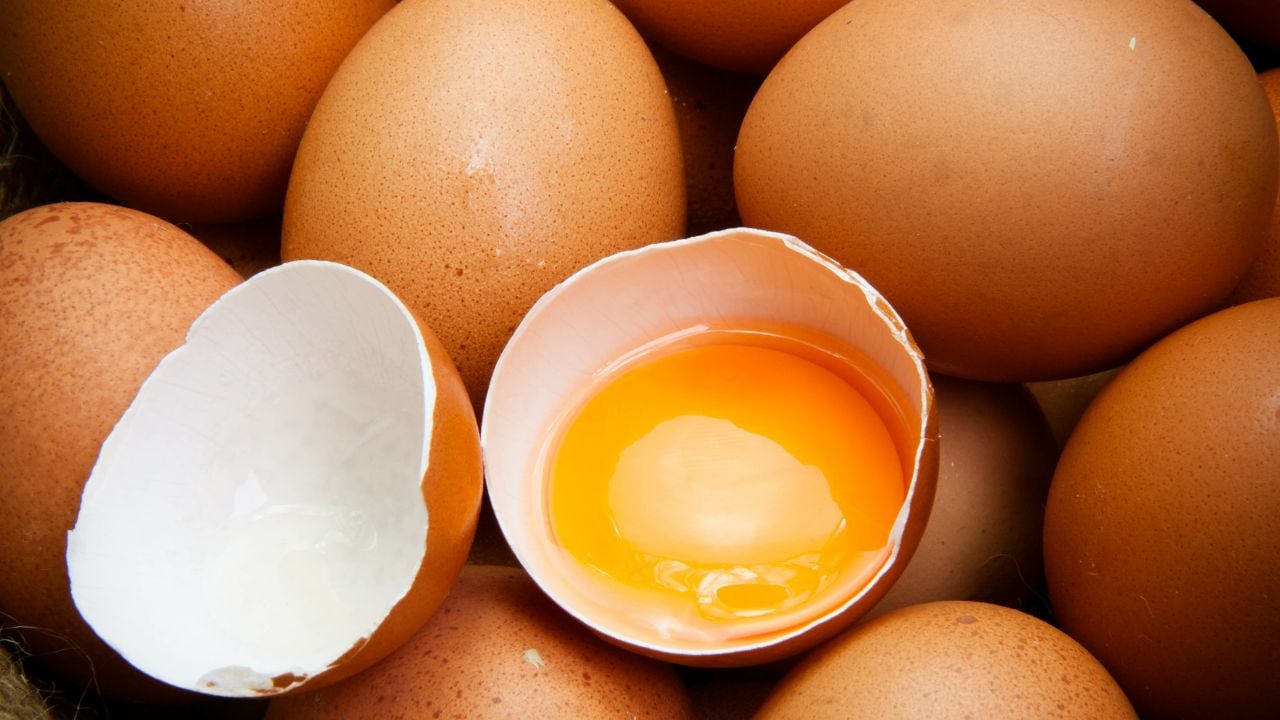 8 Guinness Record-Setting Foods Eaten in 30 Seconds by Speed Eaters ...