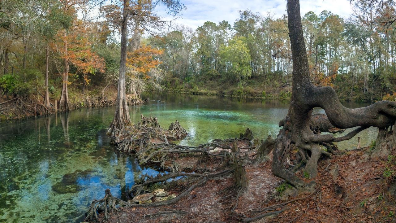 The Poorest Counties in America, State-by-State Breakdown - Mindfully ...